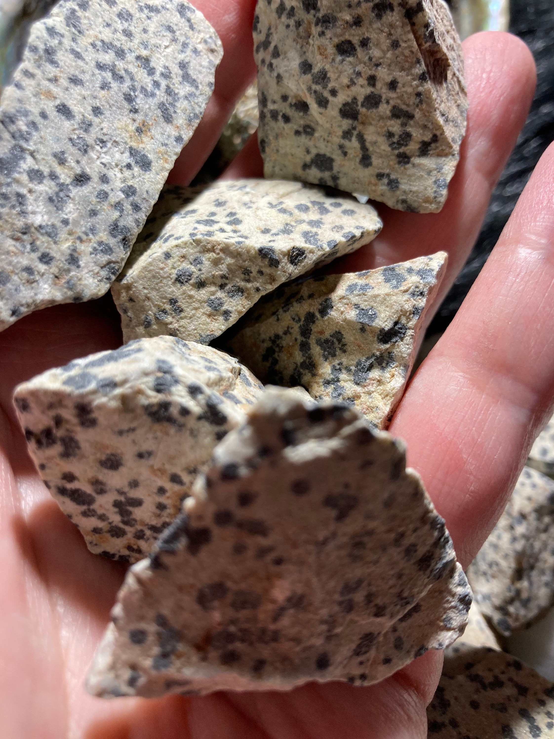 Dalmatian Jasper Raw Crystal | Etsy