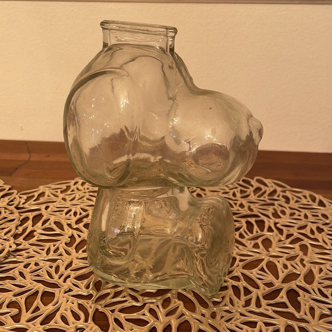 Snoopy Peanuts Glass Coin Bank Anchor Hocking 1960's Charlie Brown - Etsy