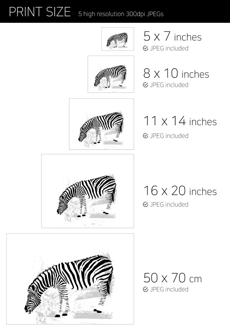 Zebra Printable, Black and White, Animal Art, Zebra Print, Zebra Art ...