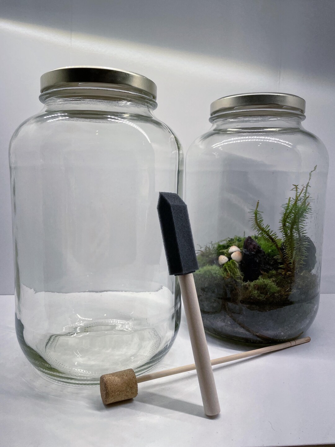 Large Glass Terrarium Vessel Glass Wide-mouth 1 1-gallon Glass Storage ...