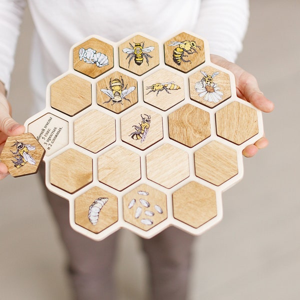Life Cycle Puzzle - Etsy