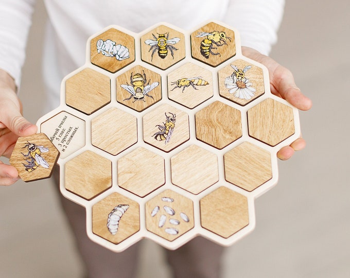 Honey Bee Puzzle - Honeycomb - Bee Life Cycle - Honey Bee Learning Kit ...