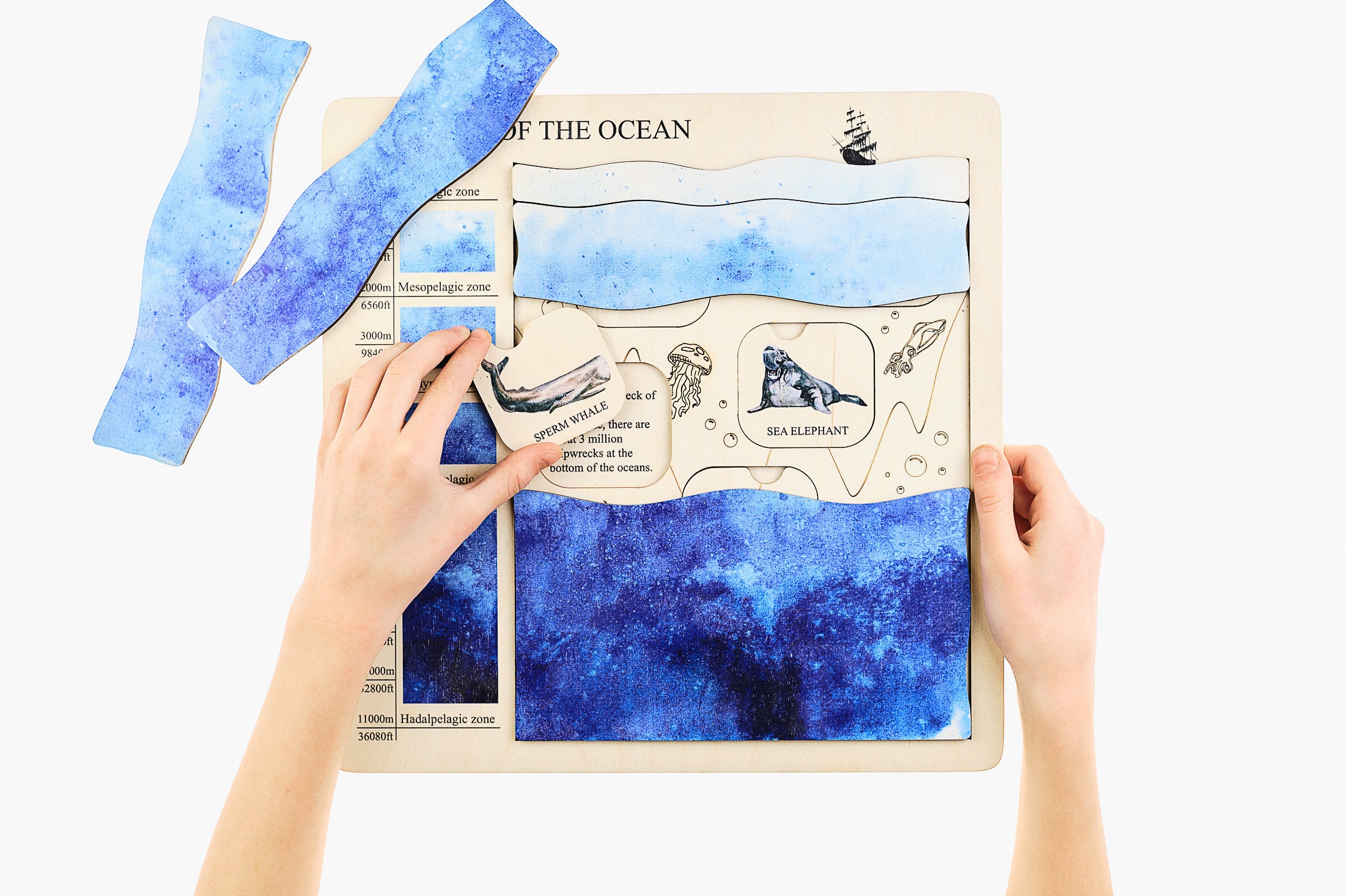 Layers of the Ocean Puzzle Baby Gift Wooden Toys Baby - Etsy