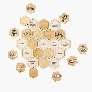 Honeycomb Wooden Puzzles. Montessori Classroom Materials. Bee Life ...