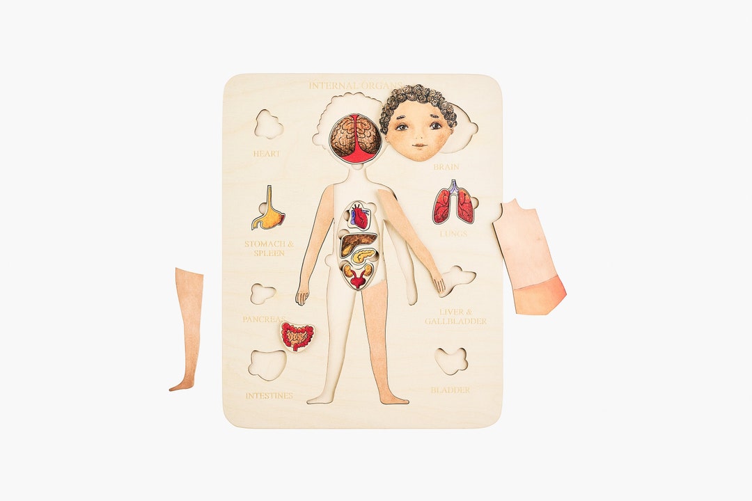 Preschool Anatomy. Wood Puzzle Human Body. Anatomy Poster. Montessori ...