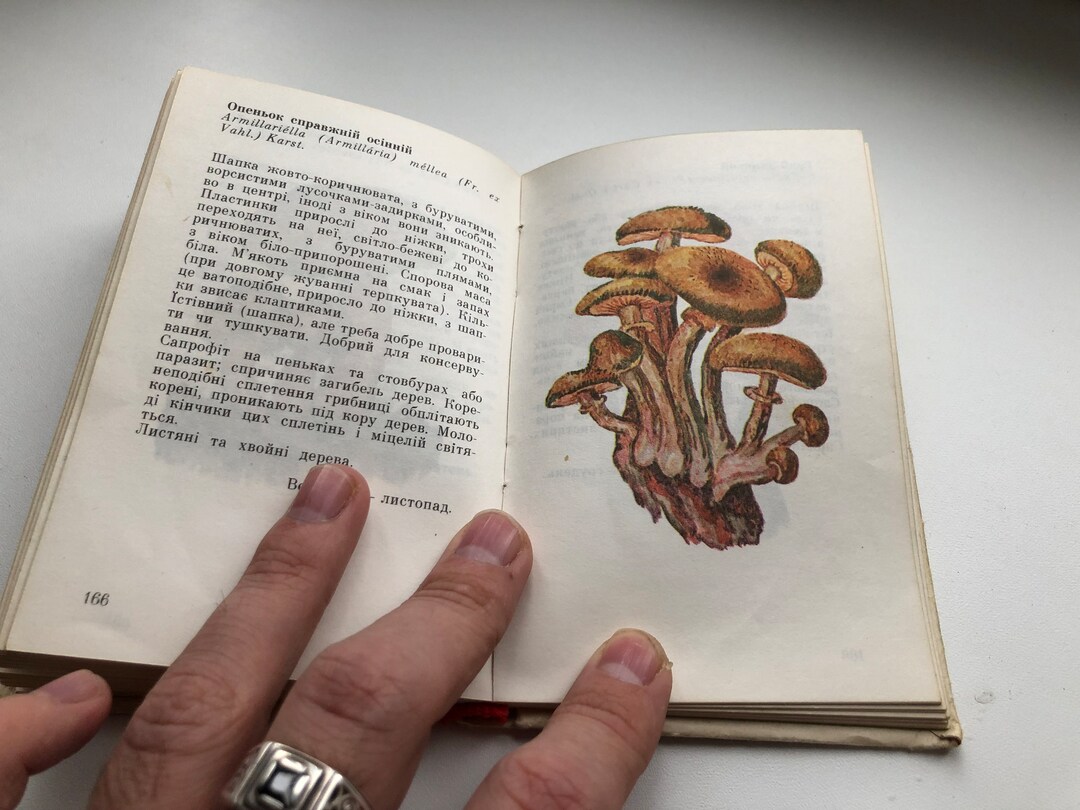 Rare, Compact, Vintage, Illustrated Mushroom Book, Botanical Book ...