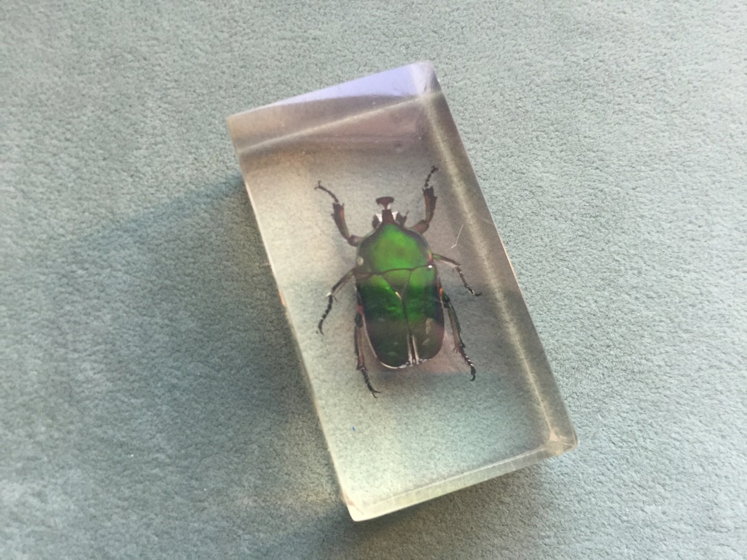 NEW, Very Rare, Soviet Beetle in Resin, Beetle, Vintage Paperweight ...
