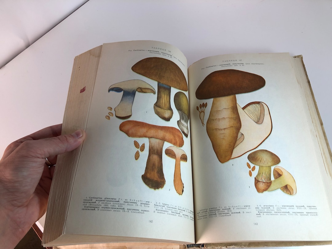 Big Mushroom Book,very Rare, Compact, Vintage, Illustrated Mushroom ...