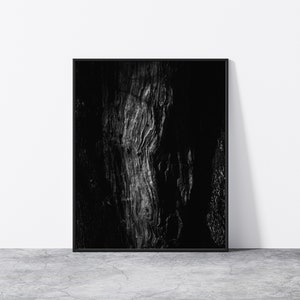 Moody Tree Bark at Discovery Park in Seattle, Printable Wall Art ...