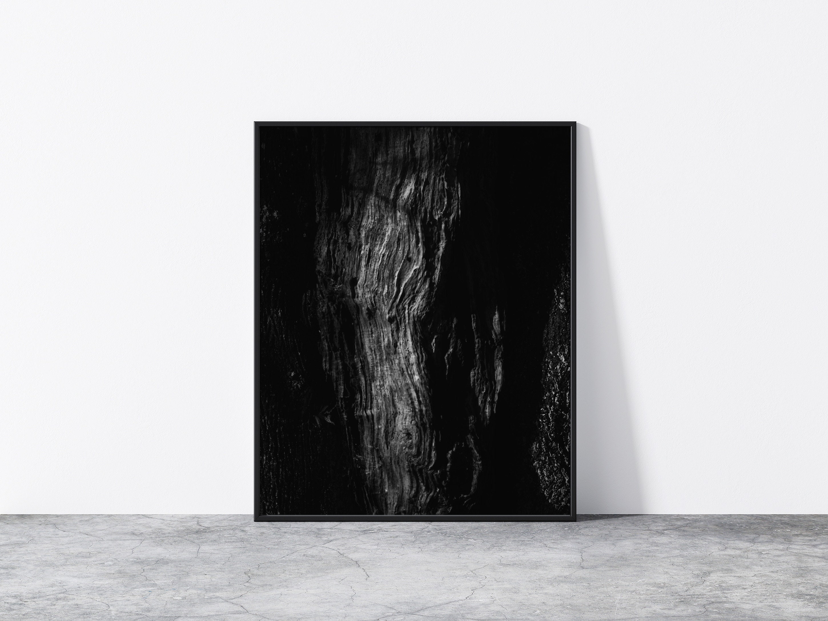 Moody Tree Bark at Discovery Park in Seattle, Printable Wall Art ...