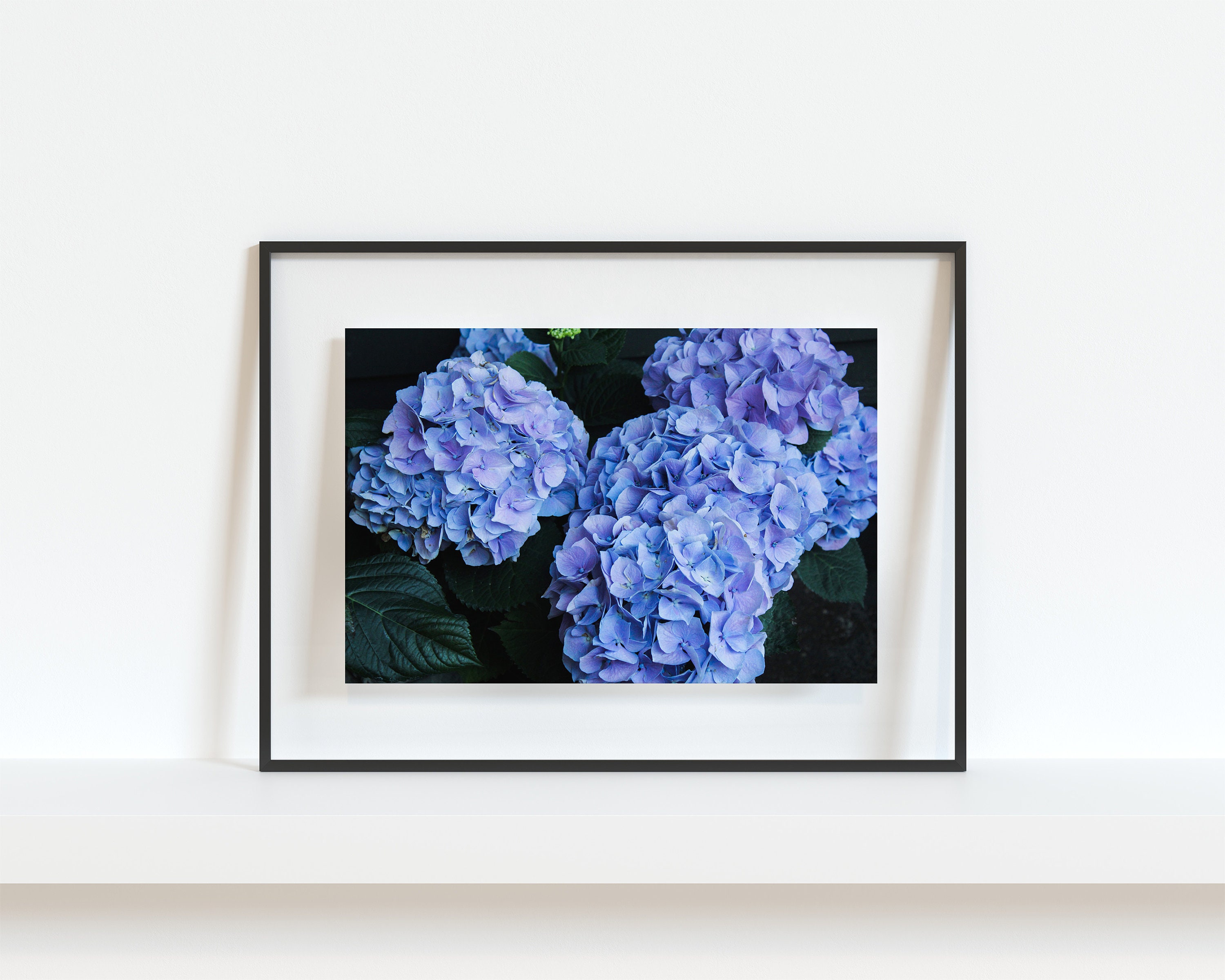 Hydrangea Flower Photo, Printable Wall Art, Digital Photography for ...
