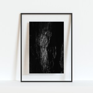 Moody Tree Bark at Discovery Park in Seattle, Printable Wall Art ...