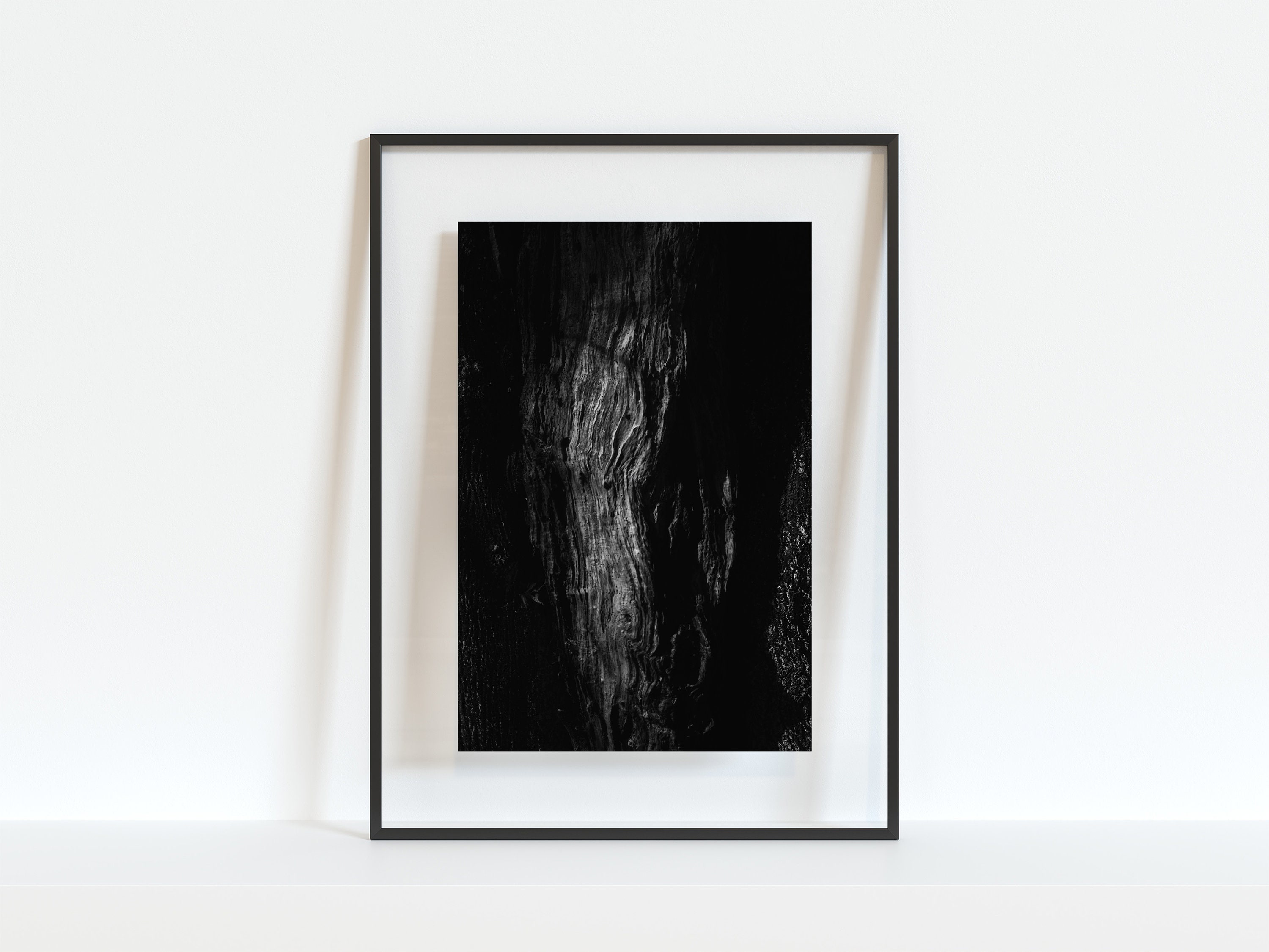 Moody Tree Bark at Discovery Park in Seattle Printable Wall - Etsy