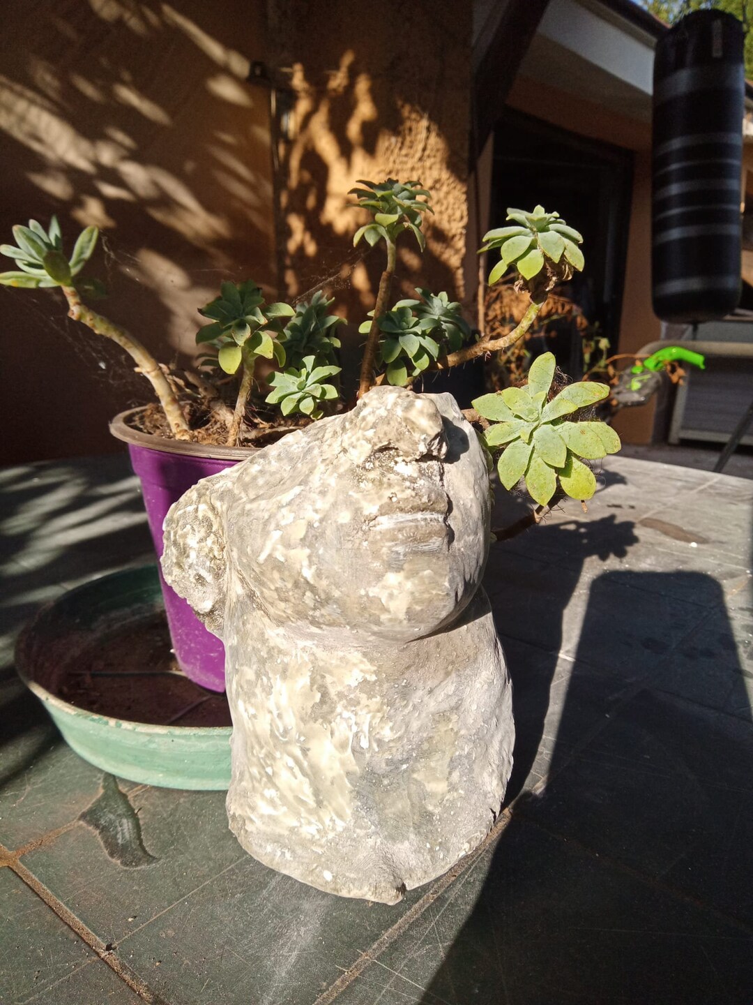 Stone Effect Plaster Head MAN Colossal - Etsy
