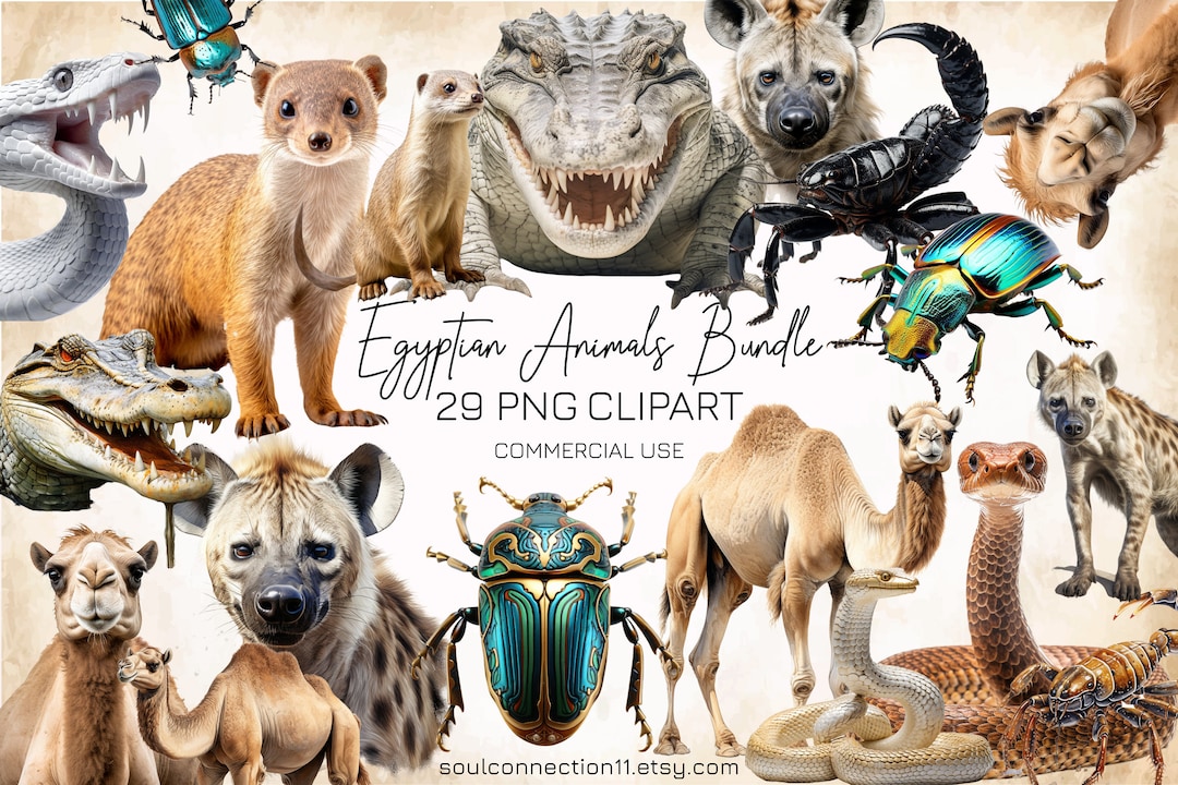 Animals of Egypt PNG Clipart, Desert Animals Bundle, Camel, Сrocodile ...