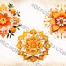 Flower Mandala PNG Clipart Mandala Images Bundle Sublimation - Etsy