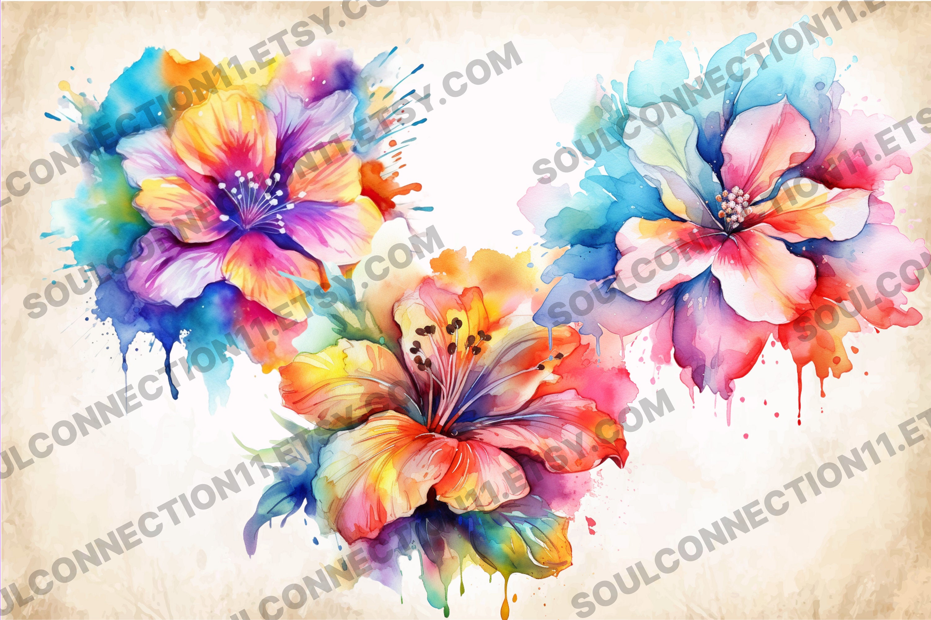 Watercolor Splash Flowers PNG Clipart Rainbow Flowers - Etsy