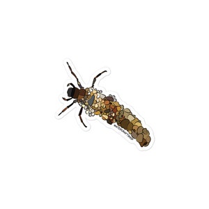 Caddisfly Larva Sticker - Etsy