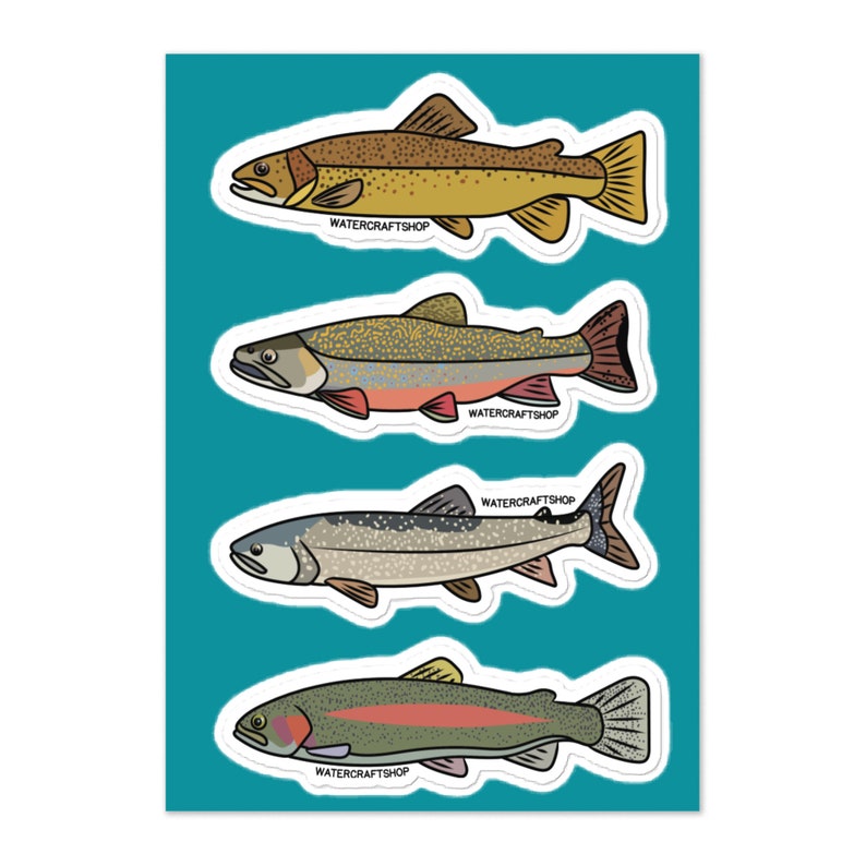 Trout Sticker Pack, Michigan Fish - Etsy
