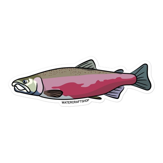 Coho Salmon Sticker | Etsy