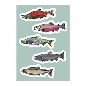 Salmon Sticker Pack - Etsy
