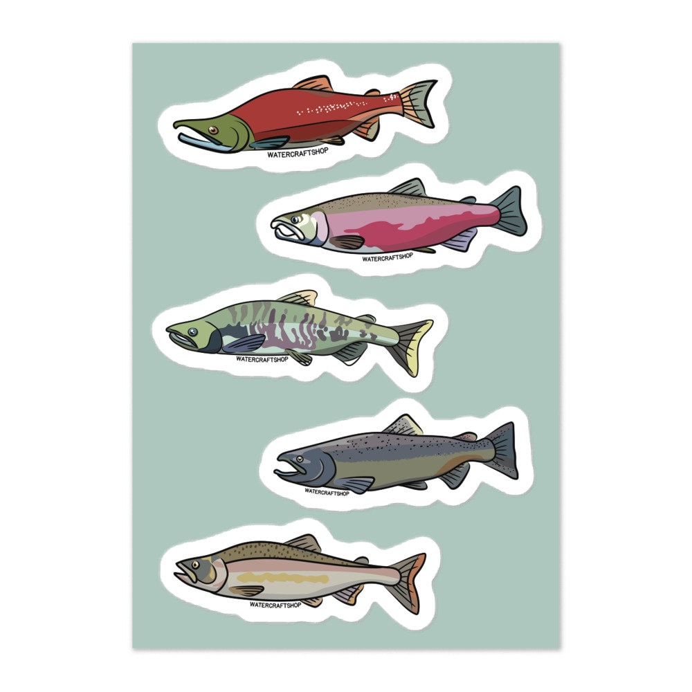 Salmon Sticker Pack - Etsy