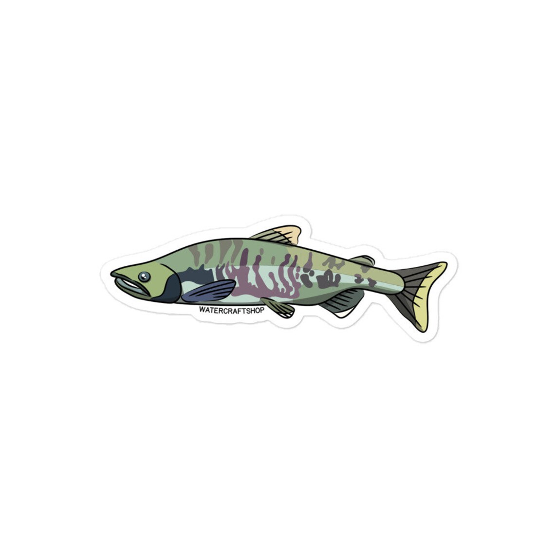 Chum Salmon Sticker - Etsy