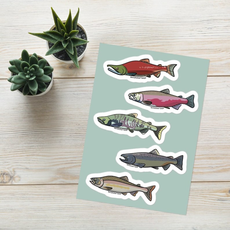 Salmon Sticker Pack - Etsy