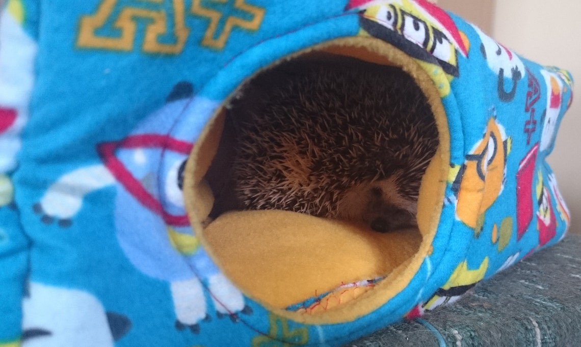 Hedgehog Corner Hide Guinea Pig Triangle Cube Cozy Rat | Etsy UK
