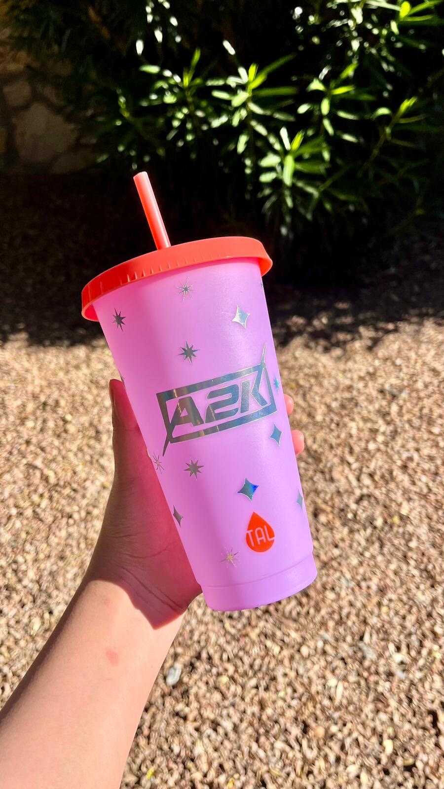 Vcha Kpop Girl Group Inspired Color Changing Tumbler A2k/kpop/korean - Etsy