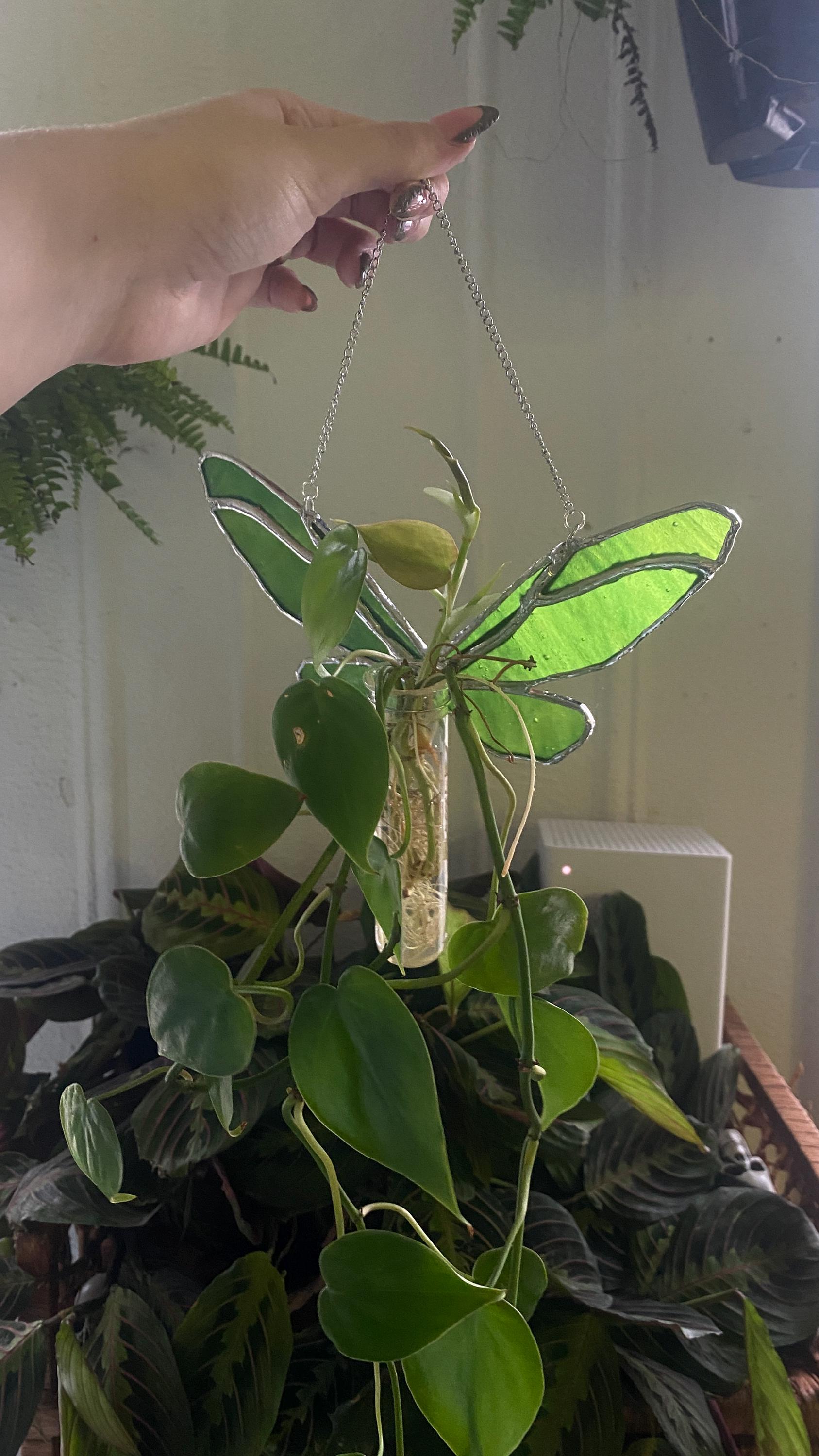 Stained Glass Fairy Wings Propagation Station/air Plant Mount - Etsy
