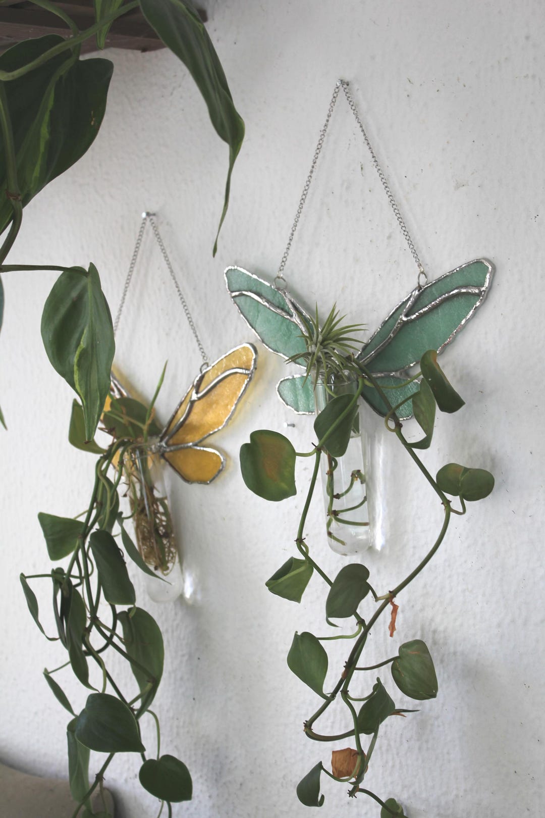 Stained Glass Fairy Wings Propagation Station/air Plant Mount - Etsy