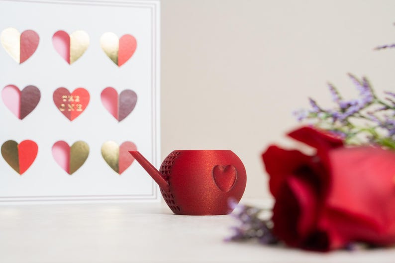 Heart Watering Can: 3D Printed Biodegradable Planter - Etsy