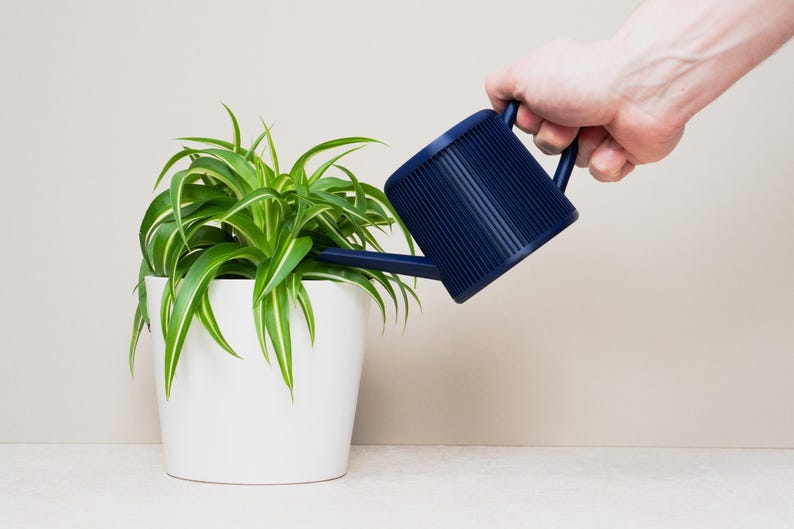 Modern Indoor Watering Can in Multiple Colours – Minimalist Design for ...