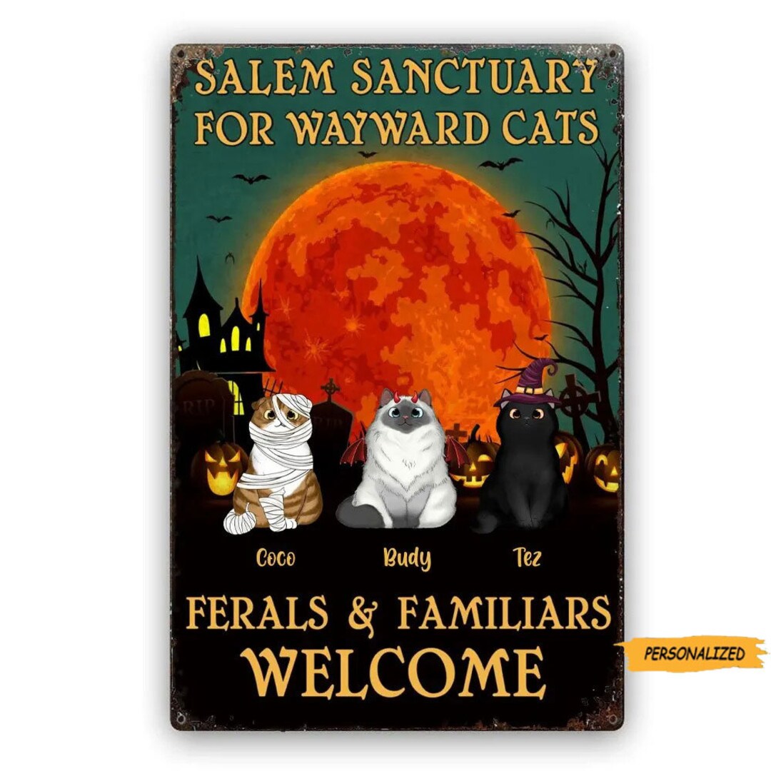 Salem Sanctuary for Wayward Cats Ferals and Familiars Welcome ...