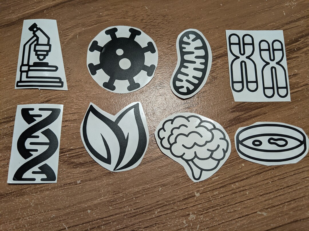 Biology Decal Pack | Laptop Decal Sticker - Etsy