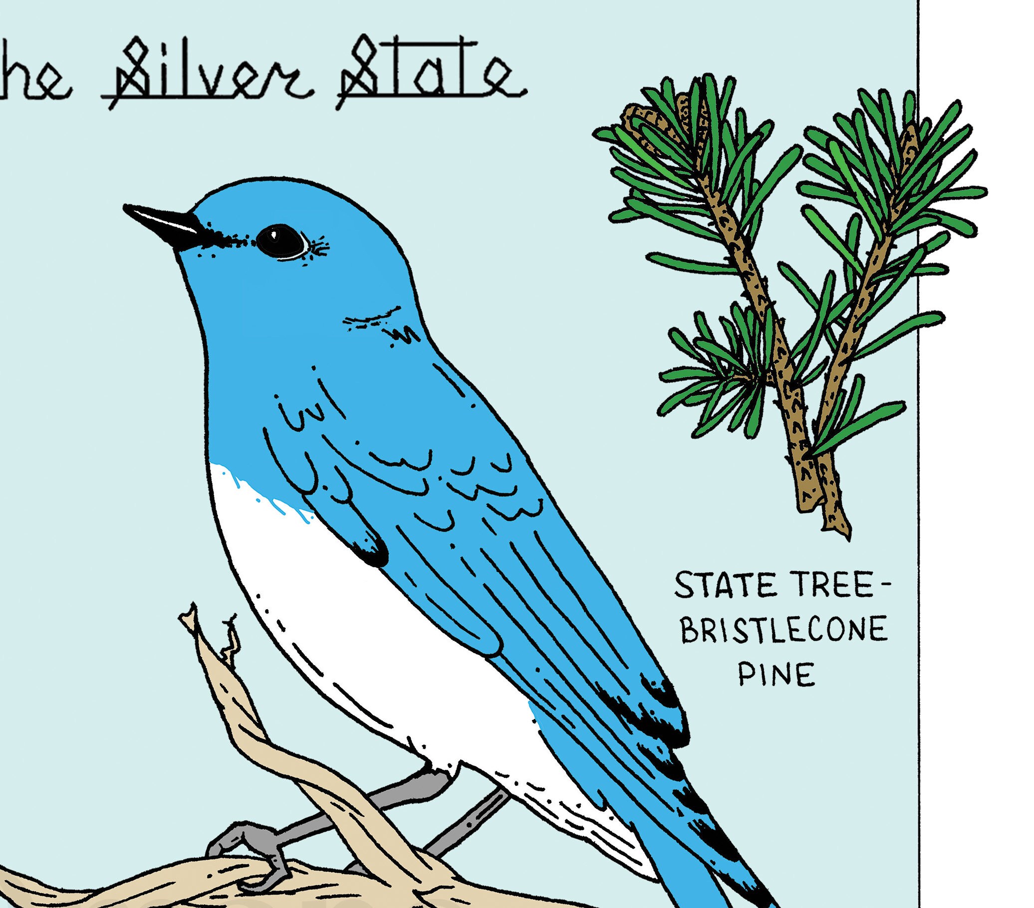 Nevada State Emblems | Bird, Flower, Insect, Gem, and Tree | Digital ...