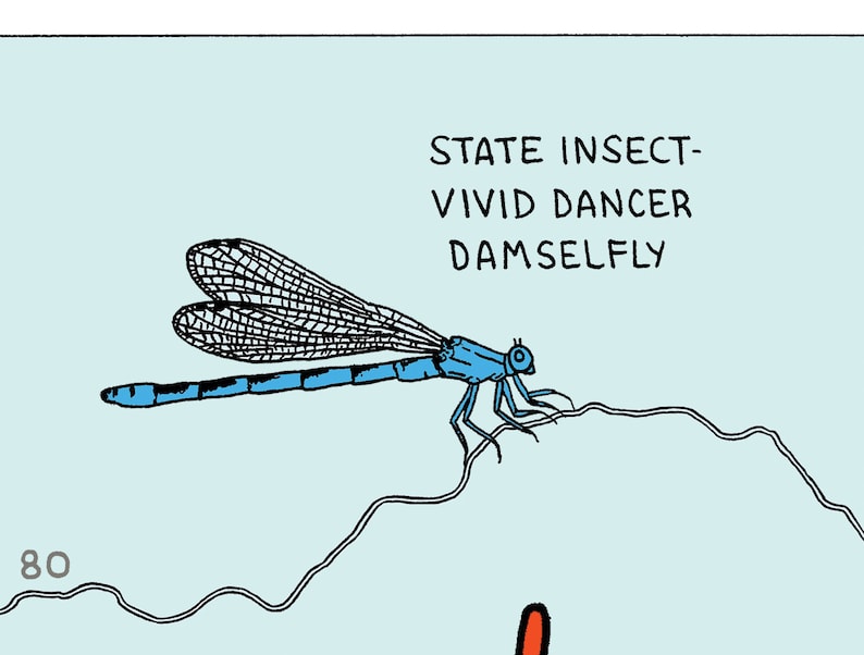 Nevada State Emblems | Bird, Flower, Insect, Gem, and Tree | Digital ...