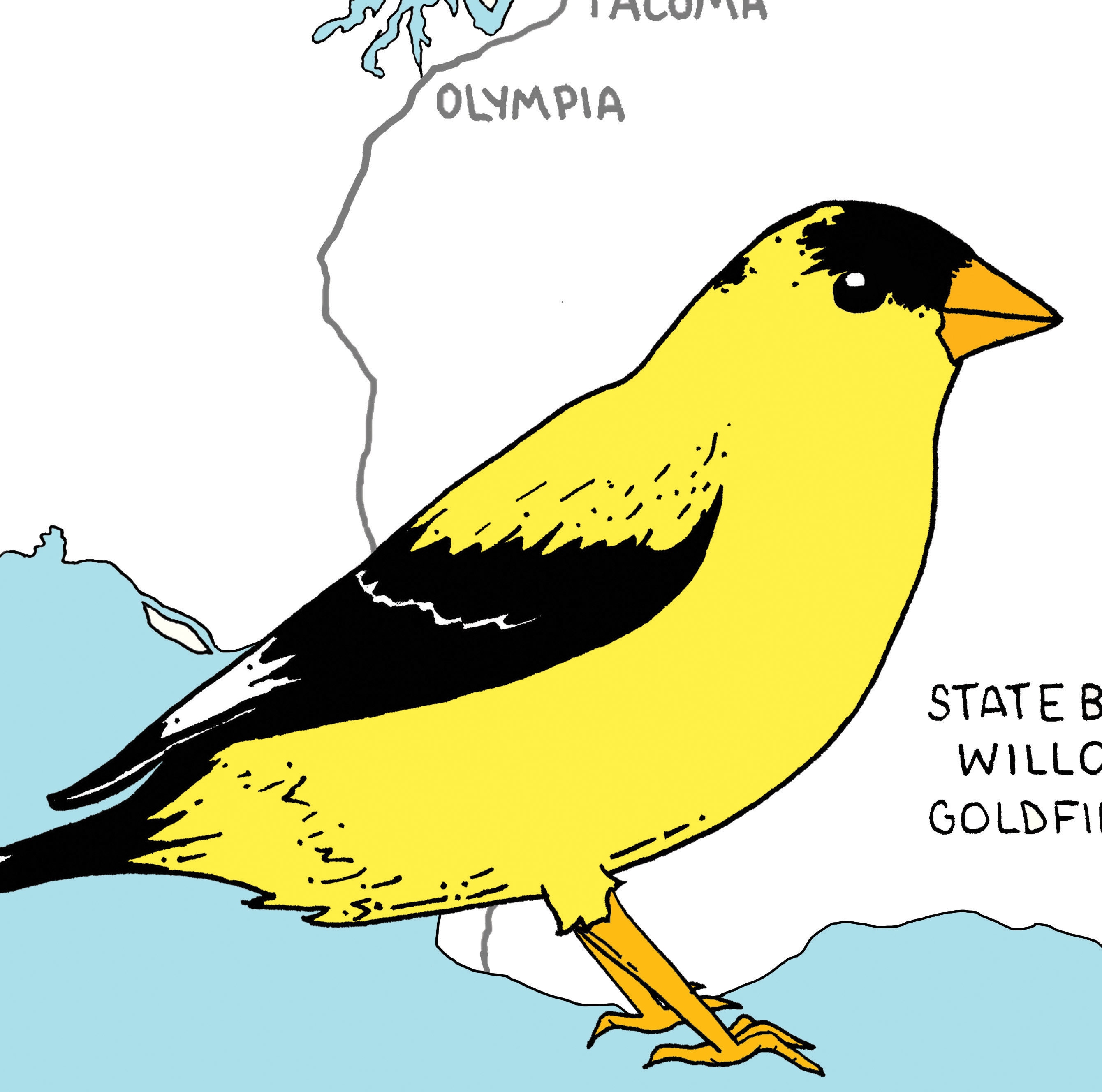 Washington State Flower, Bird, Insect, and Tree Poster | 11 X 14 and 5 ...