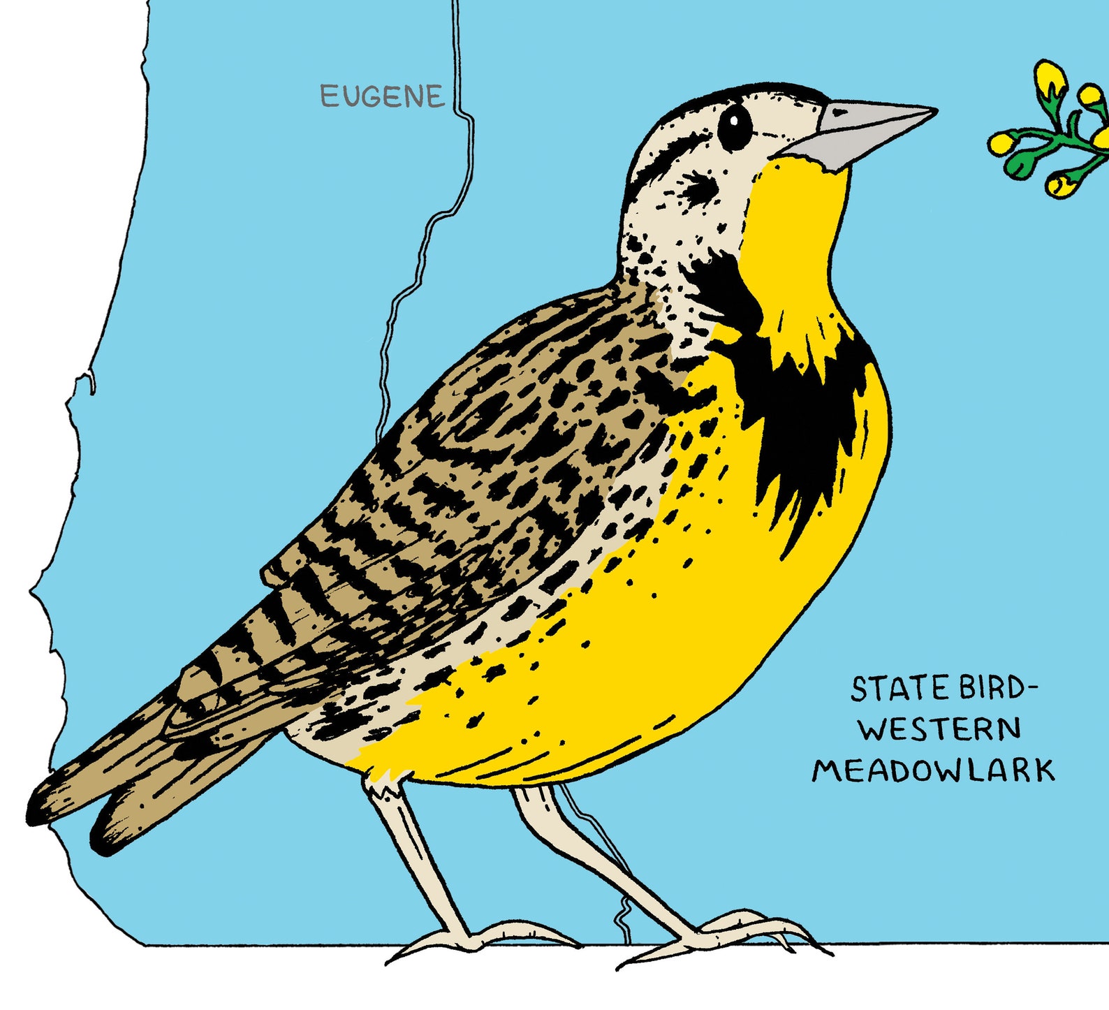 Oregon State Flower Bird Tree and Insect Poster 11 X 14 | Etsy