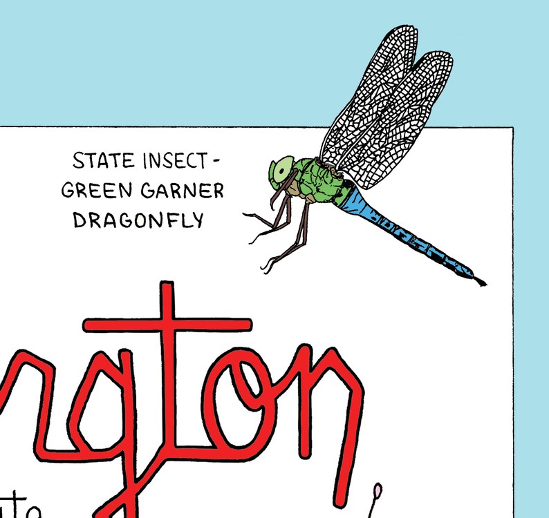 Washington State Flower, Bird, Insect, and Tree Poster | 11 X 14 and 5 ...