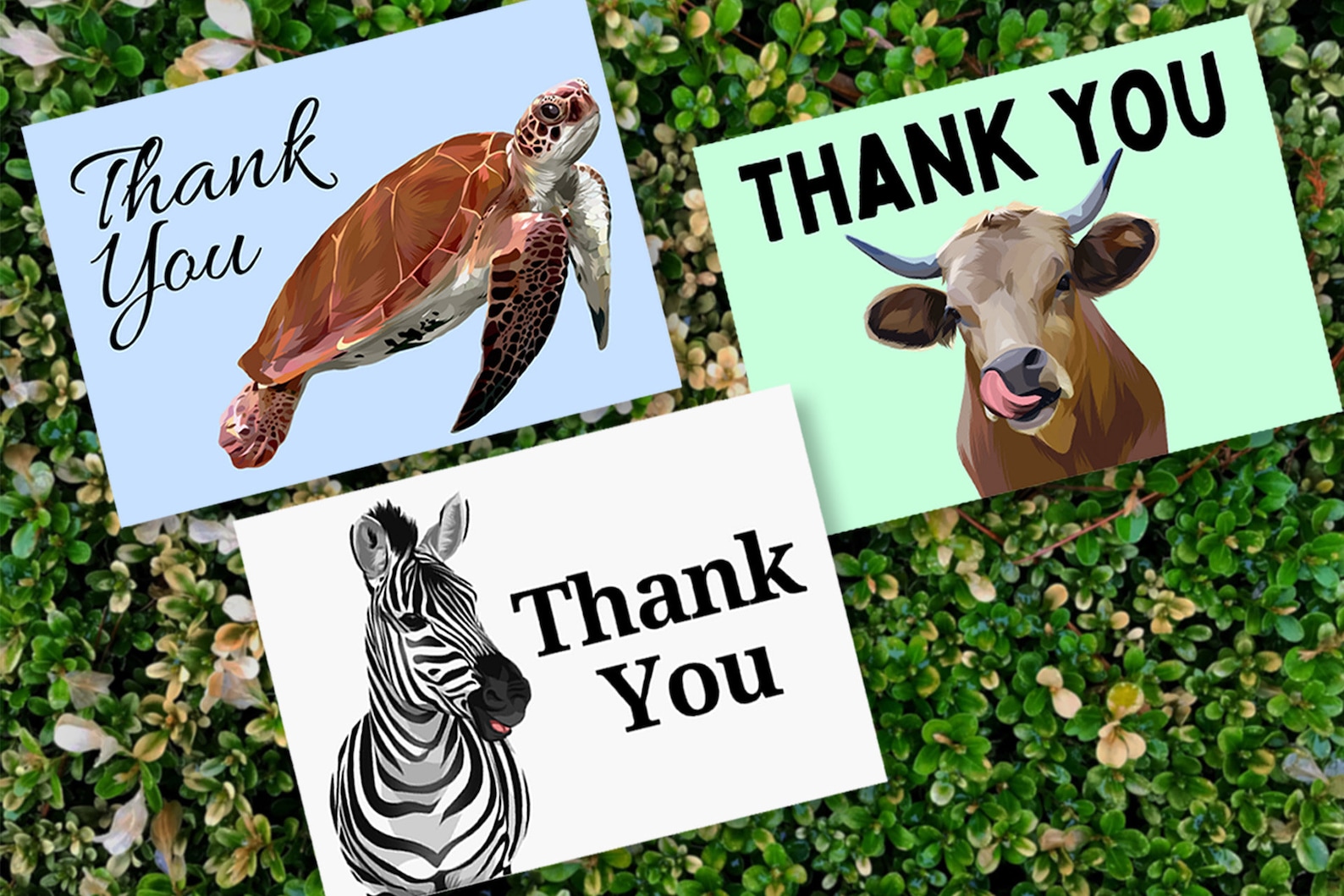 Assorted Animal Thank You 5x7 Flat Cards Animal Greeting | Etsy