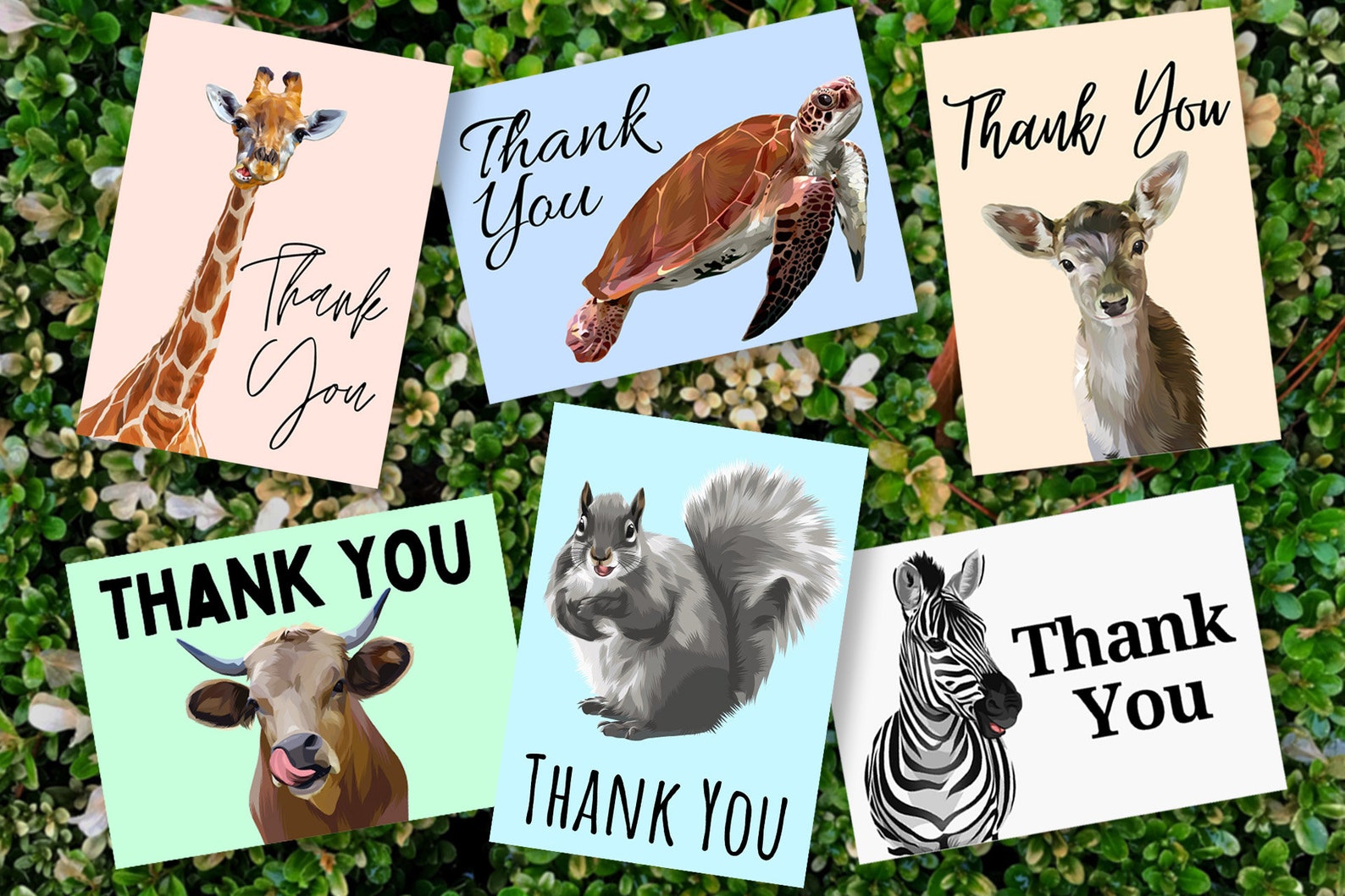 Assorted Animal Thank You 5x7 Flat Cards Animal Greeting | Etsy