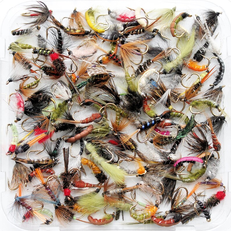 Assortment of Mixed Nymph Flies for Trout & Grayling Fly Fishing - Etsy