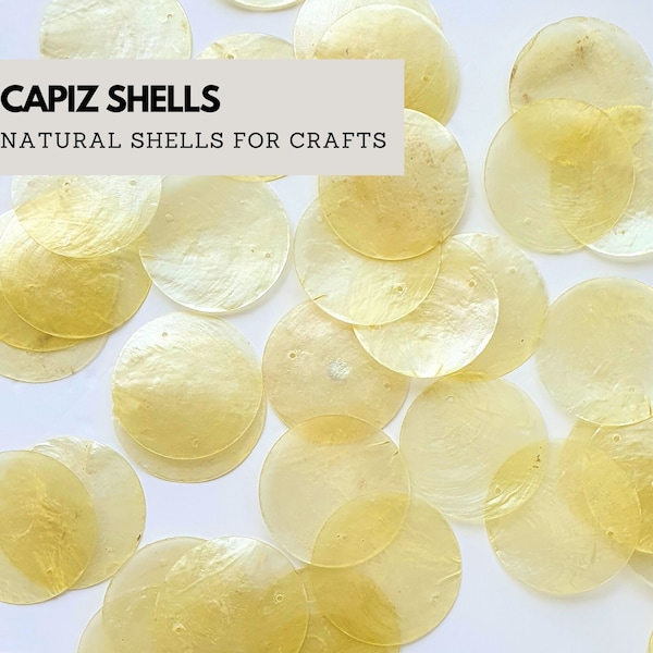 Bulk Capiz Shells - Etsy