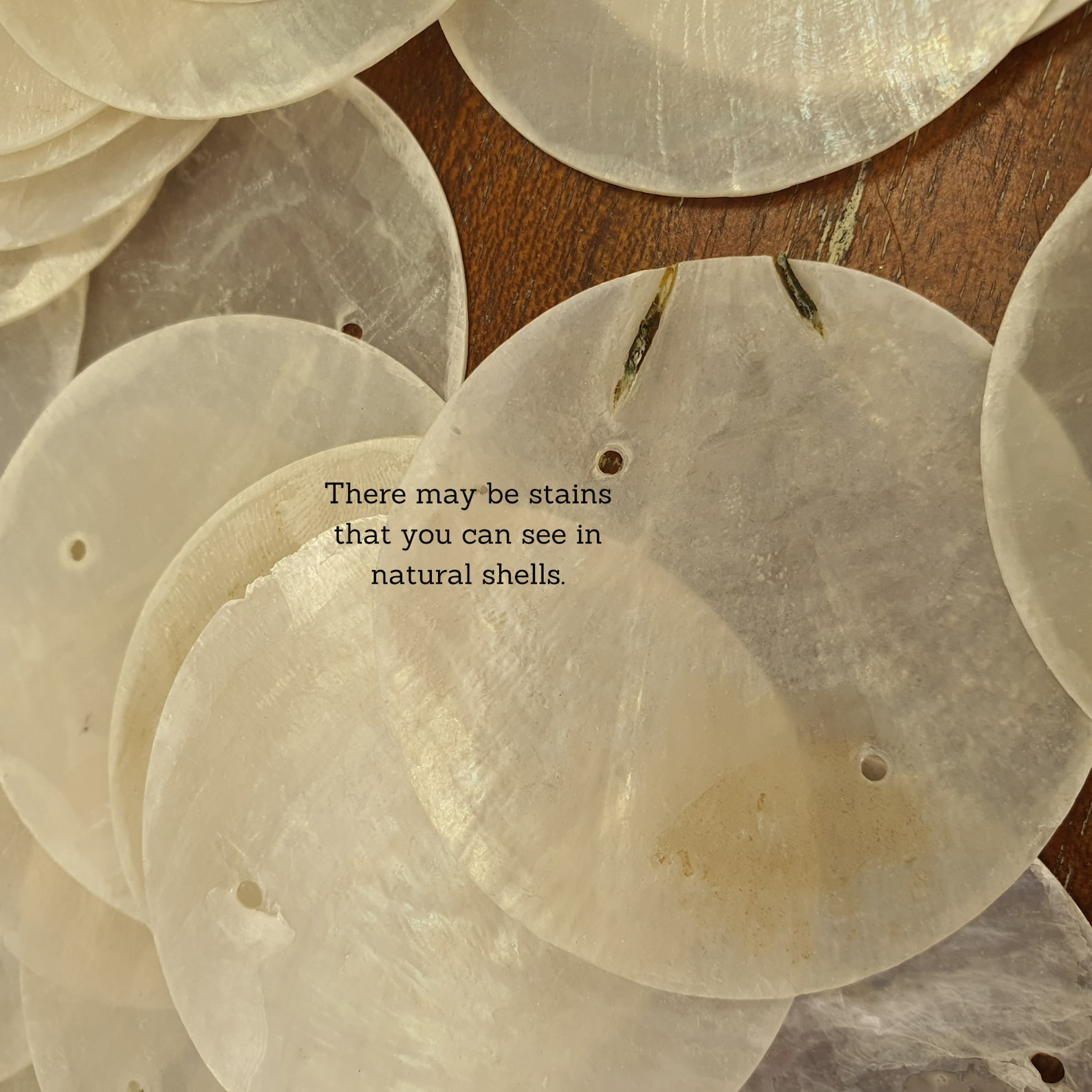 Natural Capiz Shells / 2 Holes /35mm or 50mm - Etsy