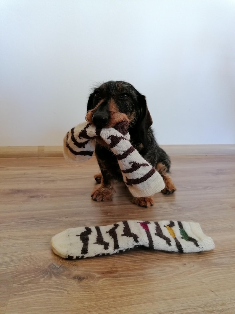 Wiener Socks - Dachshund Motive Socks - PDF Knitting Pattern - Etsy