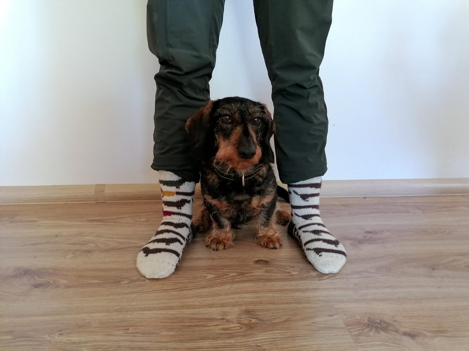 Wiener Socks - Dachshund Motive Socks - PDF Knitting Pattern - Etsy