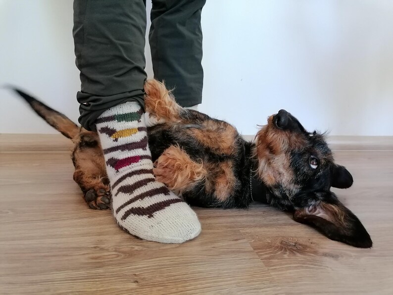 Wiener Socks - Dachshund Motive Socks - PDF Knitting Pattern - Etsy