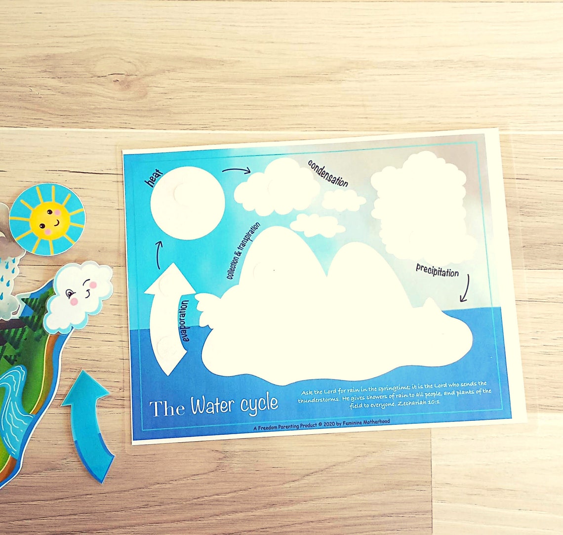 Water Cycle Kids Activity, Printable Nature Study, Kindergarten Science ...